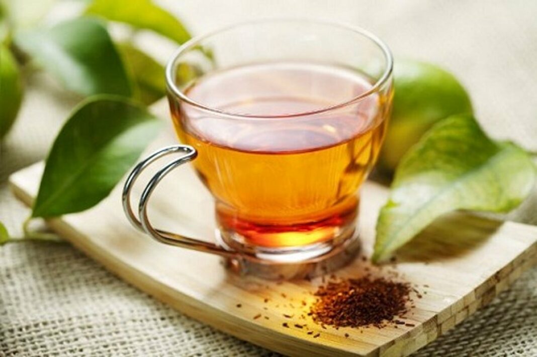 Té rooibos propiedades y contraindicaciones - Apus Noticias